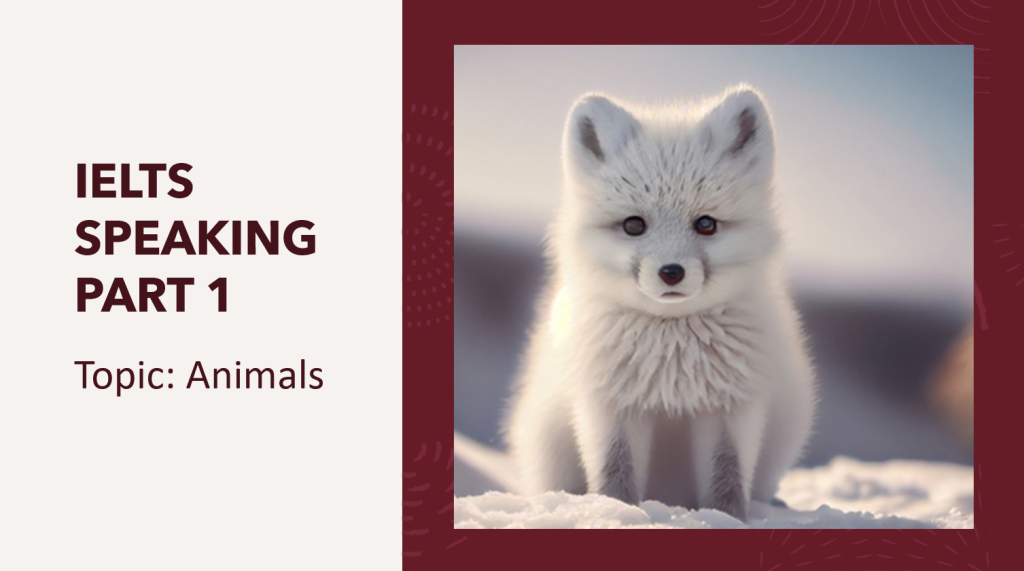 Bài mẫu IELTS Speaking Part 1 | Topic: Animals (từ vựng & audio) - Hà ...